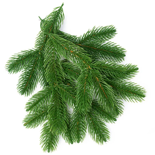 Fir tree Stock Photos, Royalty Free Fir tree Images | Depositphotos