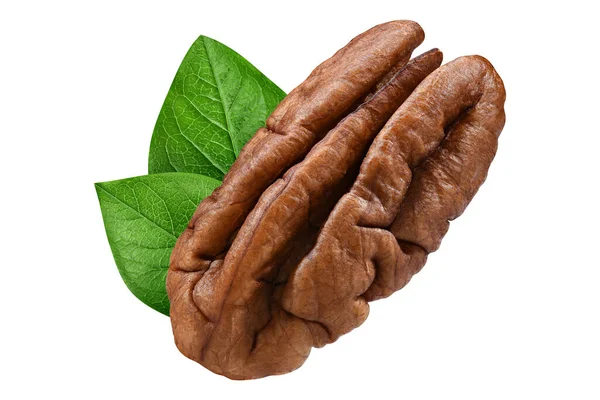 Walnut isolated closeup on white background with clipping path. Nut ...