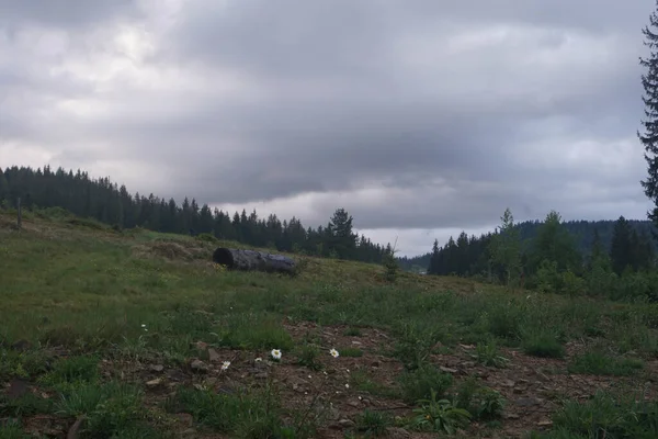 summer, before the rain, sky, clouds, clouds, in the mountains, spring ...