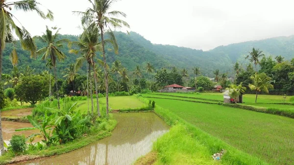 Doğa bali Stock Photos, Royalty Free Doğa bali Images | Depositphotos