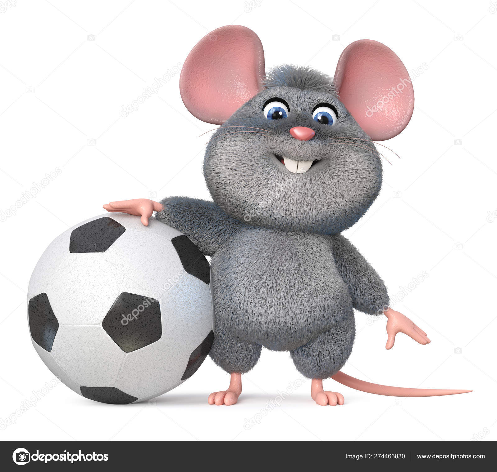 Funny Rat Playing Football Amazing Creatures: 20 Funny Animals Playing