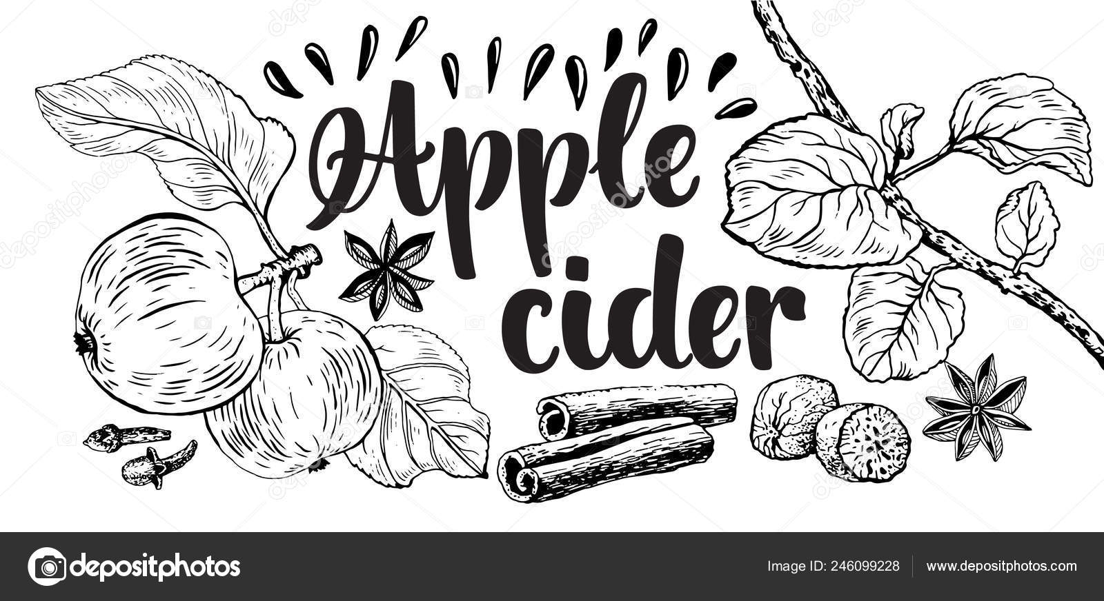 Vector Illustration Apple Cider Card Stock Vector by ©Ivchenko_Evgeniya ...
