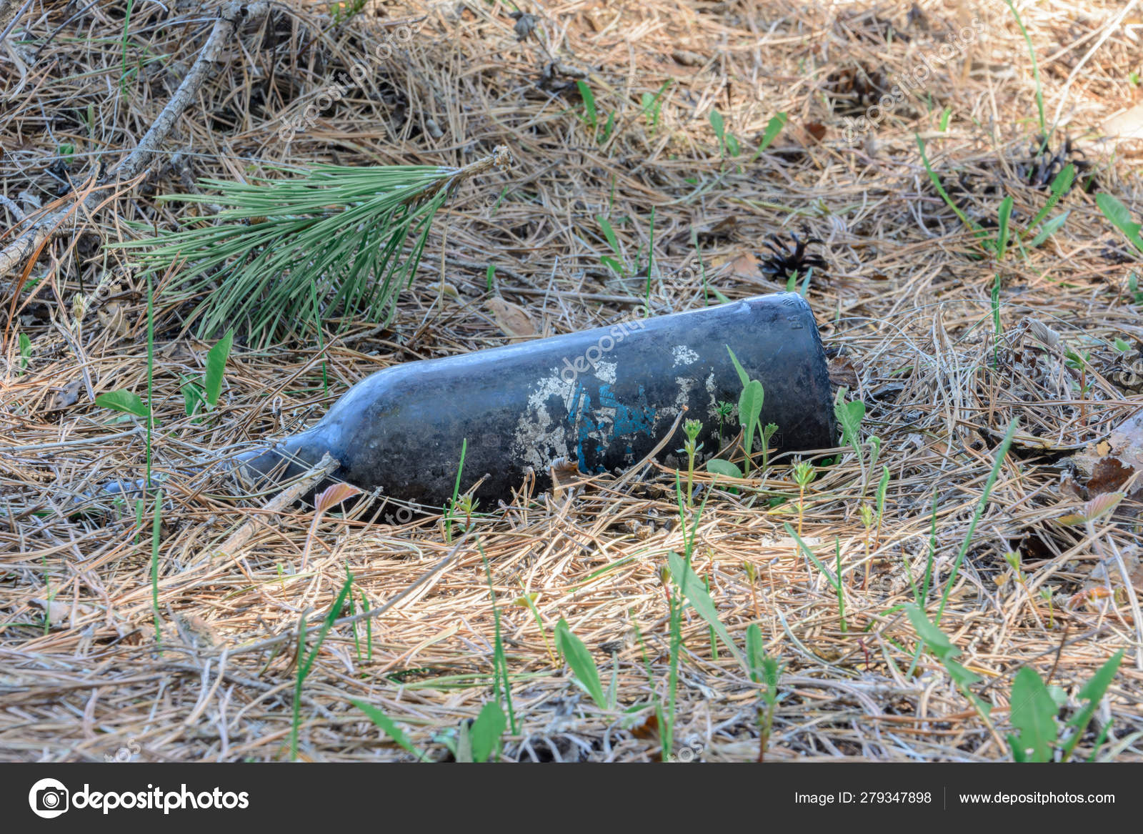 Environmental Pollution People Left Debris Wildlife Garbage Dump Grass ...