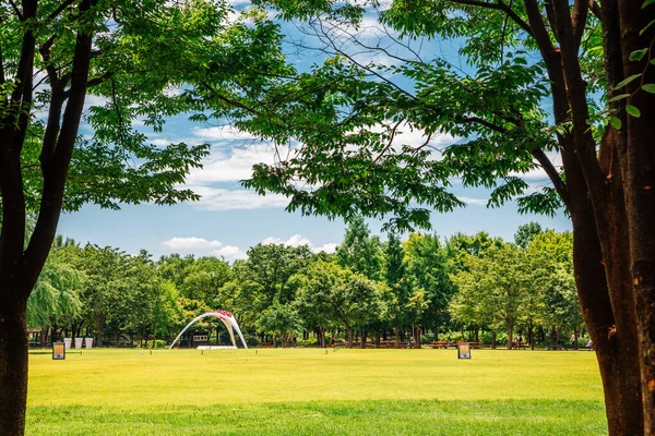 Park background Stock Photos, Royalty Free Park background Images ...