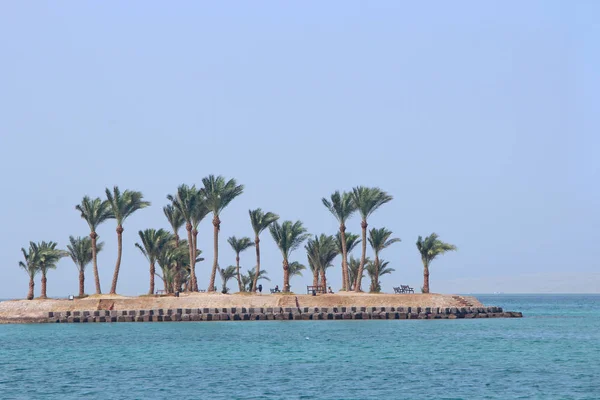 Palm Tree Island Qatar