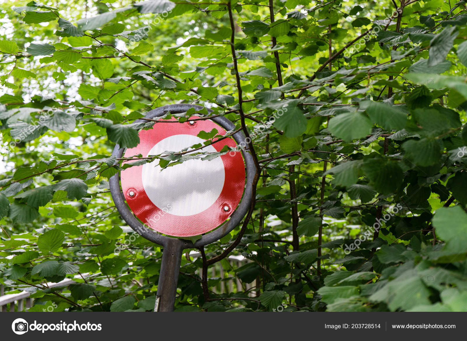 Pass Stop Sign Forest Overgrown Trees Leafs Stock Photo by ...