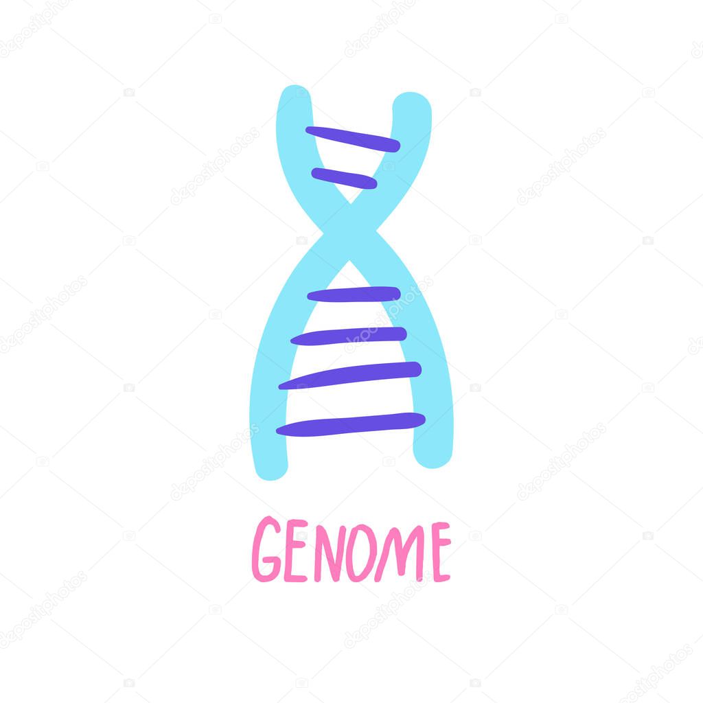 ADN espiral ilustración de secuenciación del genoma dibujado a mano ...