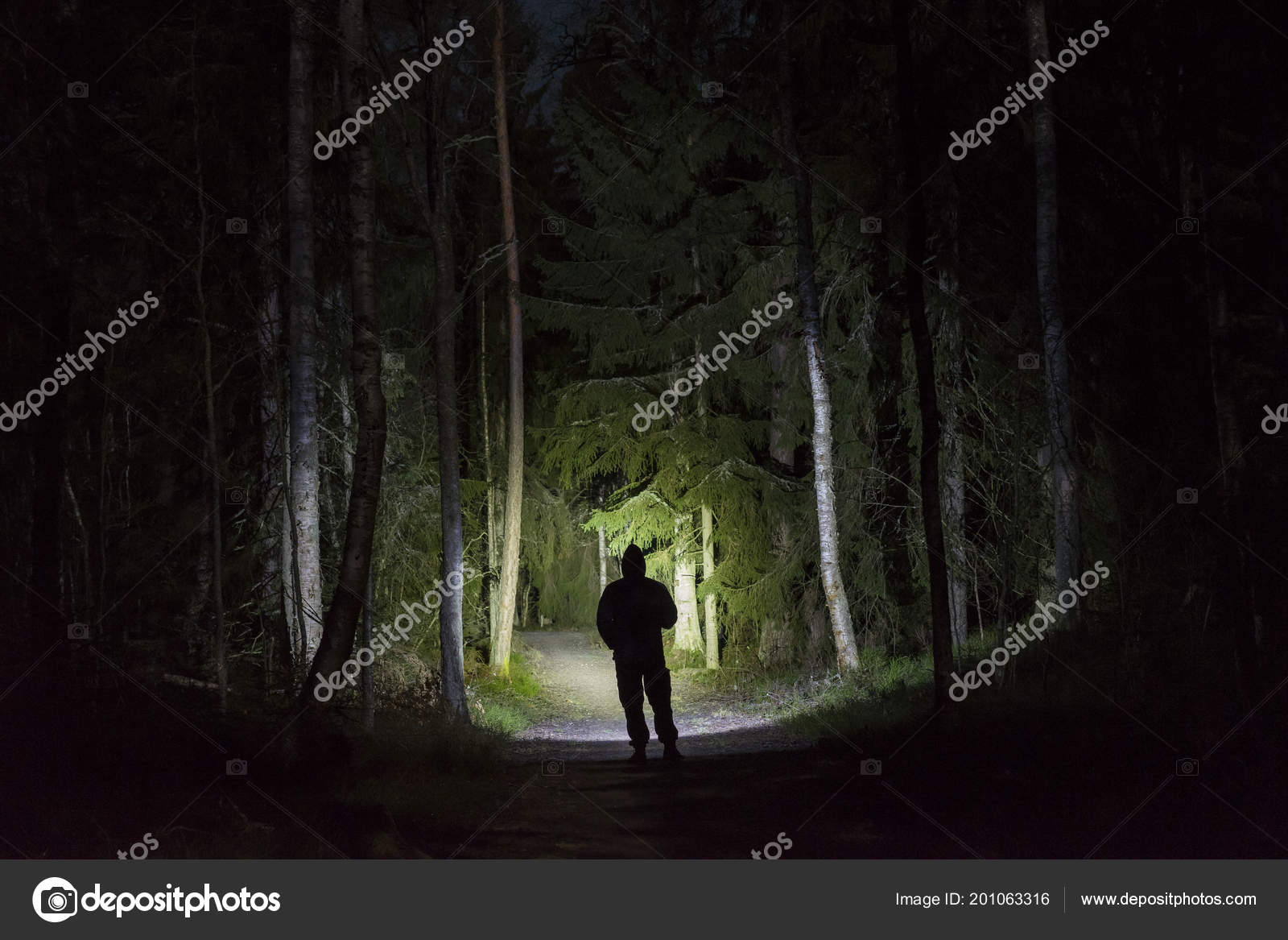 Man Standing Outdoors Night Tree Alley Shining Flashlight Beautiful ...
