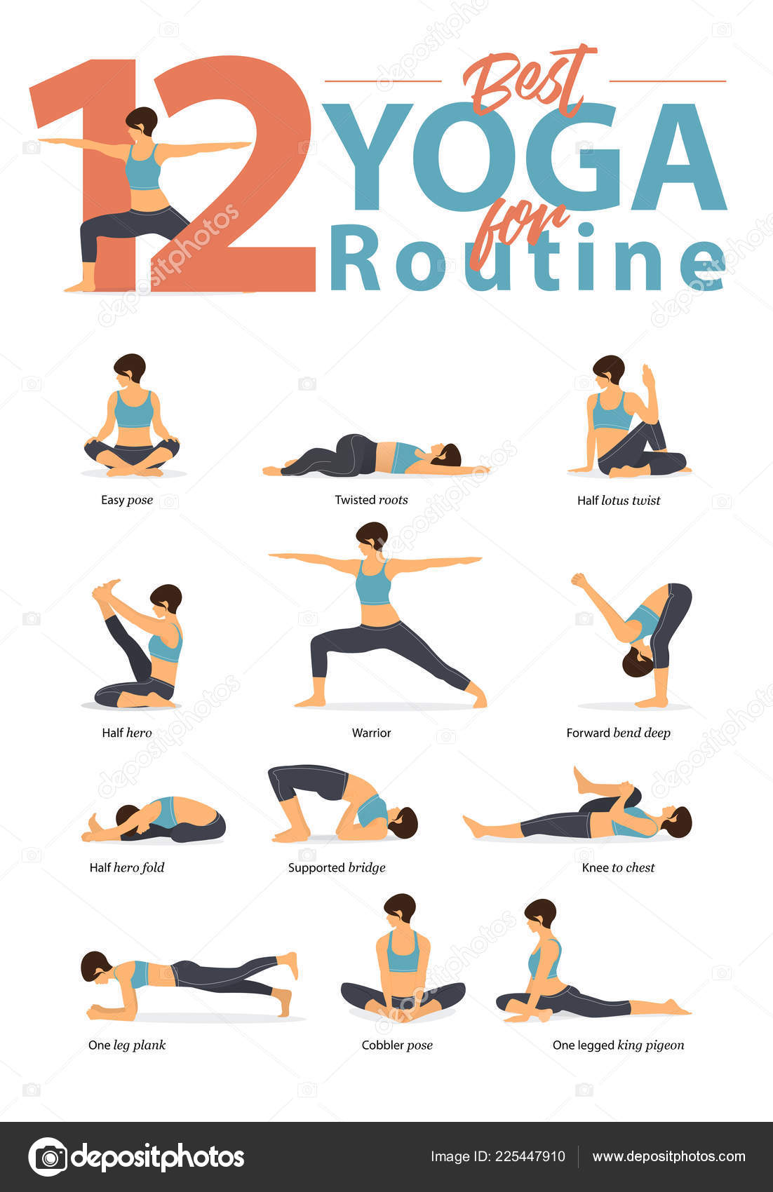 Infographic Tutorial Illustrator Beginner Training Plan Infographic Tutorial Illustrator Beginner Training Plan