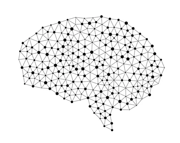 Human brain angles Stock Photos, Royalty Free Human brain angles Images ...