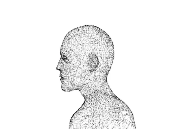 Front View Human Head Model Isolated White Background Artificial ...