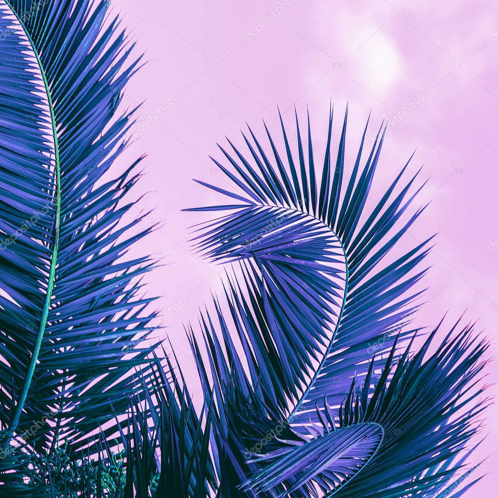 Fondo de palma. Colores creativos arte 2024