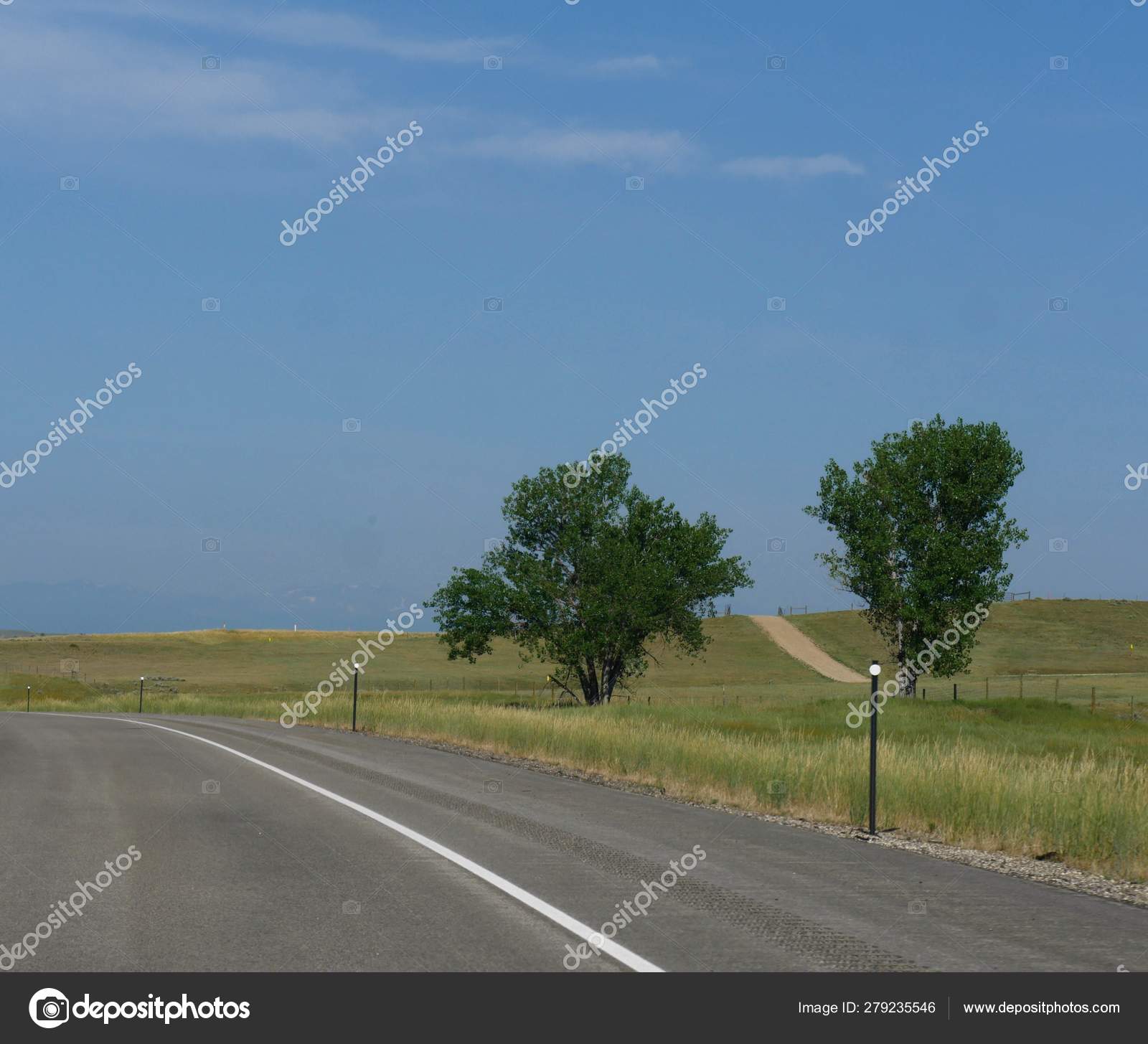Two Small Trees Growing Highway Wyoming Usa — Stock Photo © raksyBH ...