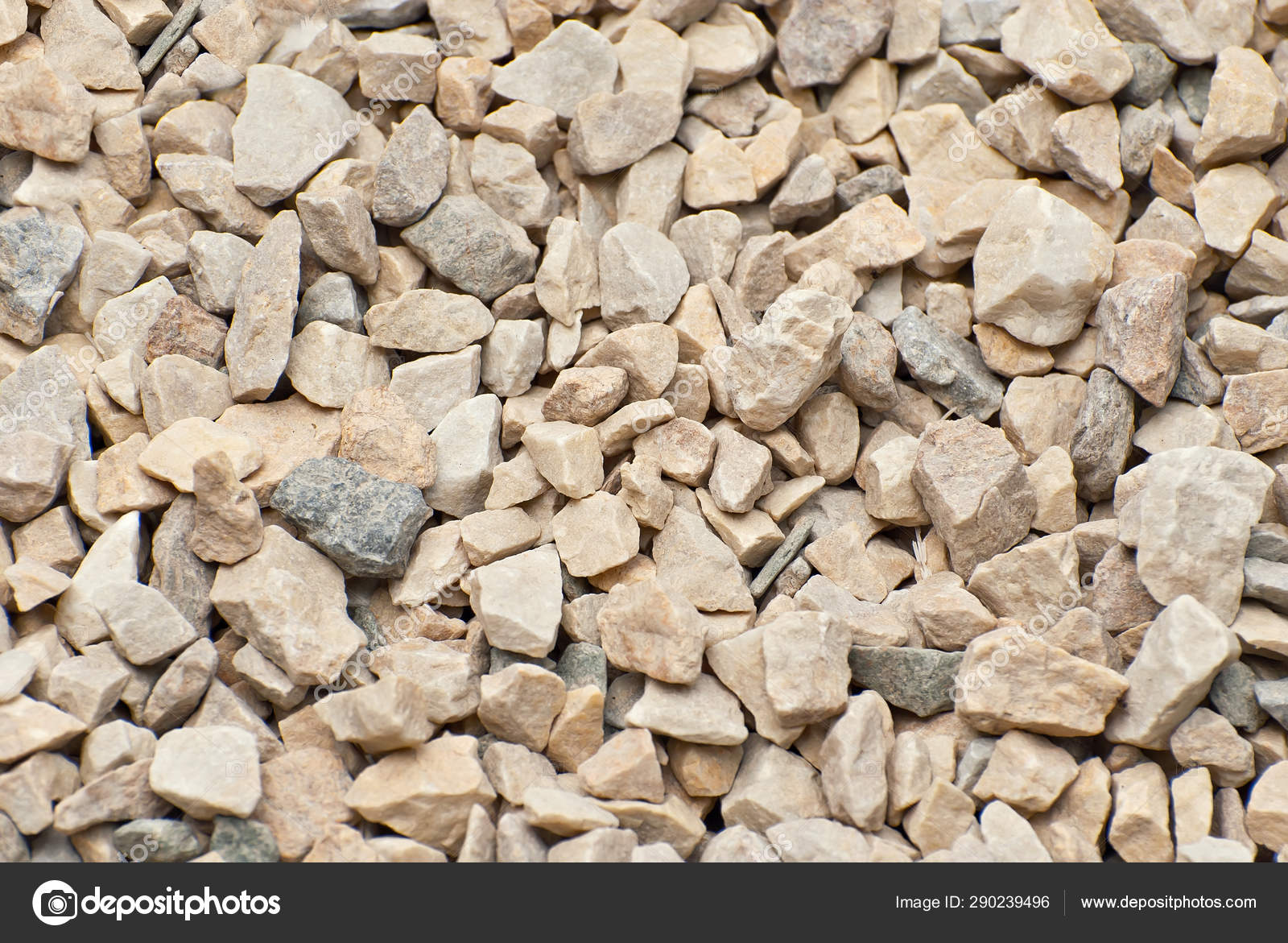 Drainage Systems Small Pebbles Garden Drainage Plants Trees Stock Photo ...