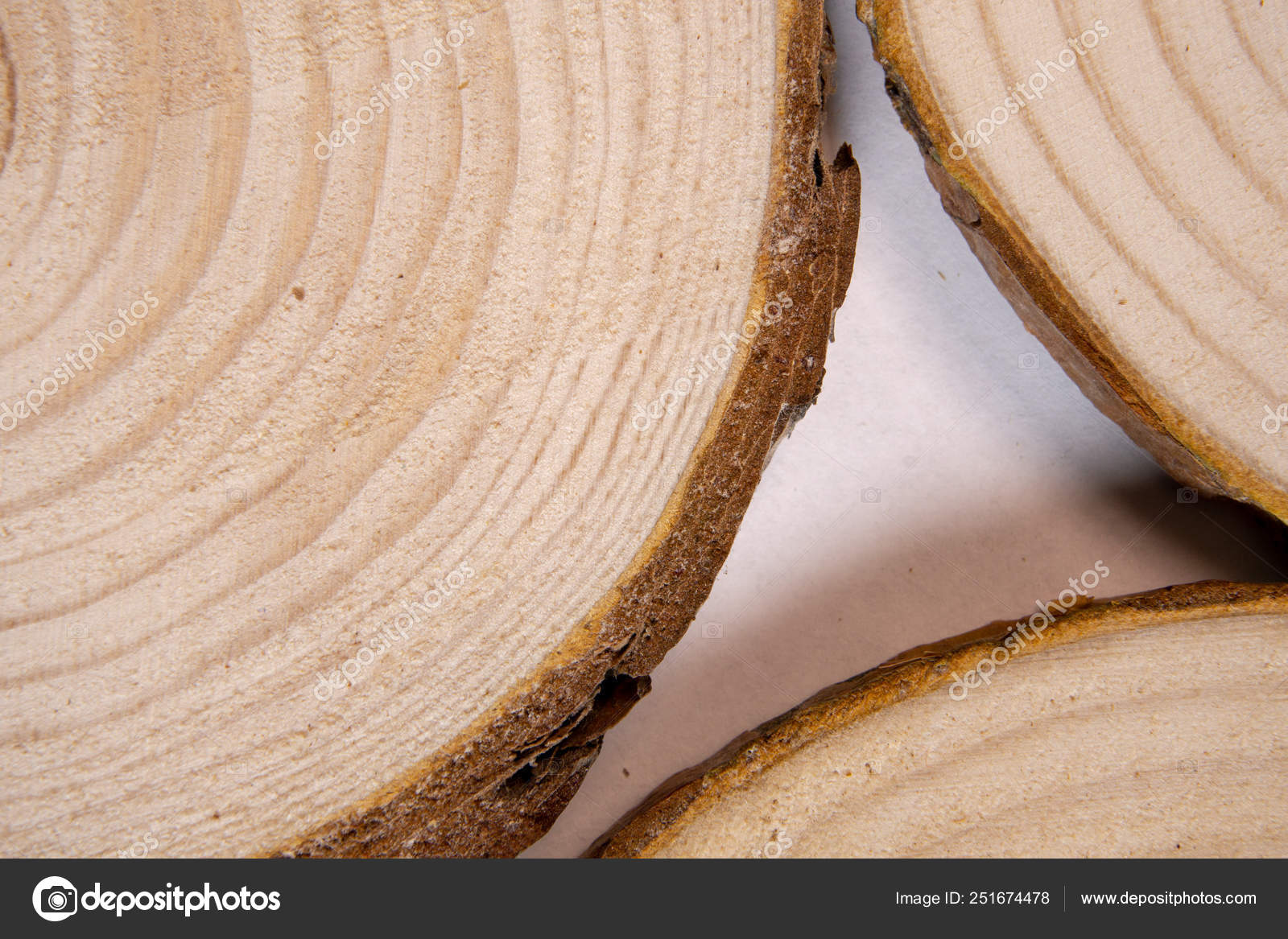Pine tree trunk cross-section with annual rings. Lumber piece close-up ...