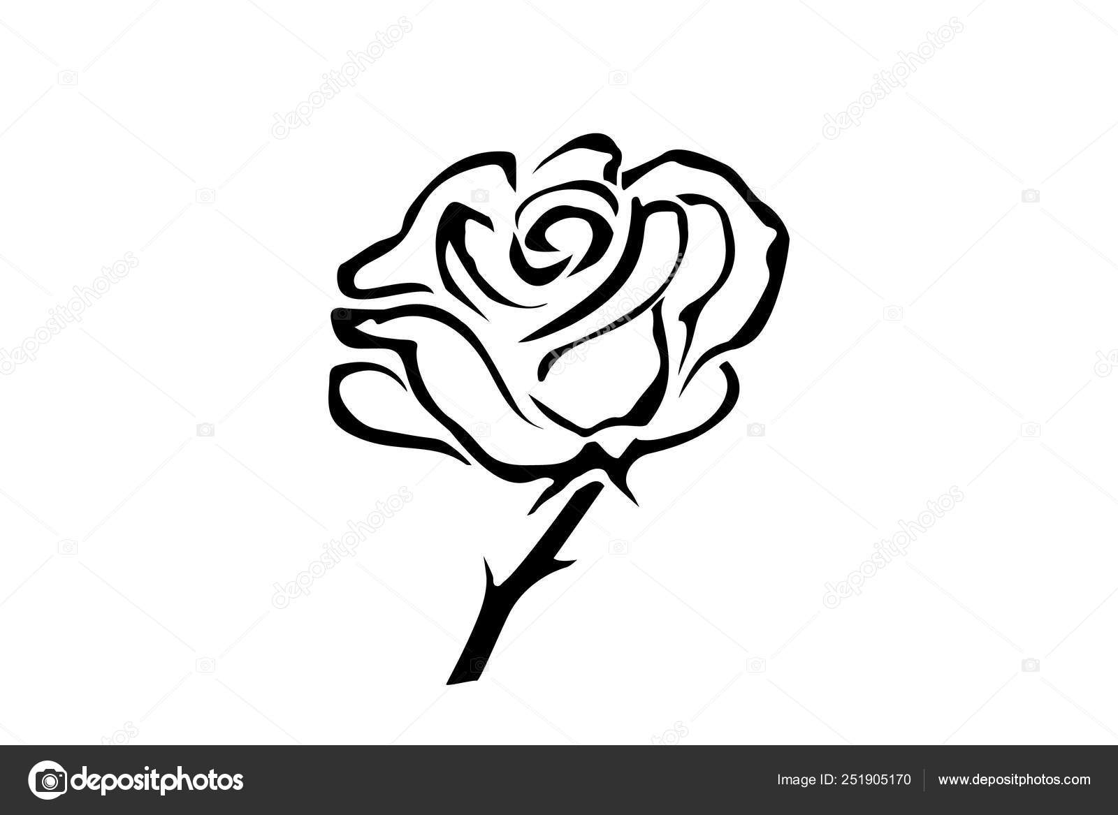 Rose Flower Vector Outline