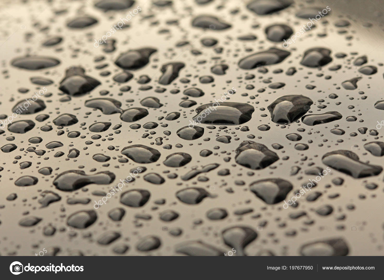 Drops Rain Water Drop Hood Car Rain Drops Surface Car — Stock Photo ...