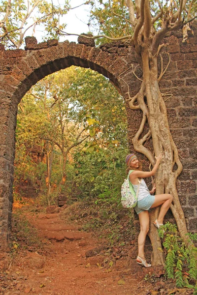 Red Fort in India, Goa. Roots and trunks of old trees captured t ...