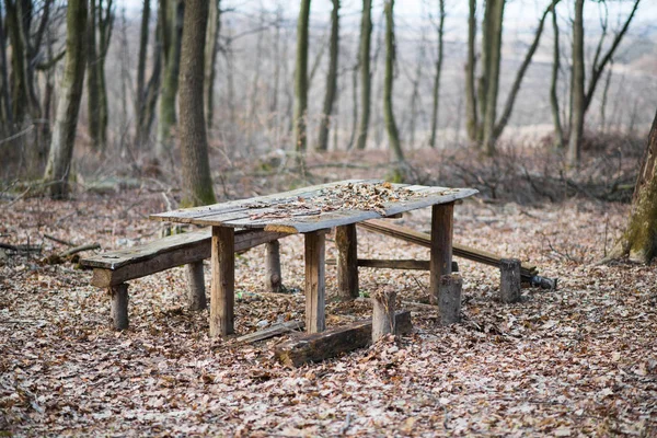 Table in forest Stock Photos, Royalty Free Table in forest Images ...