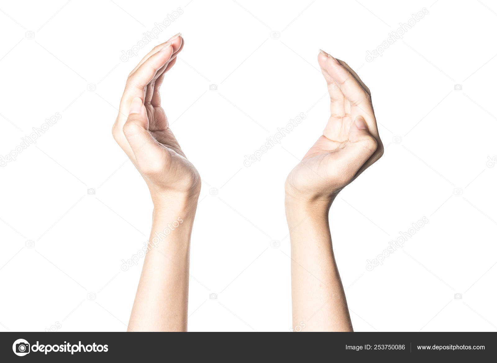 Two cupped hands making a circle isolated on white background. Stock ...