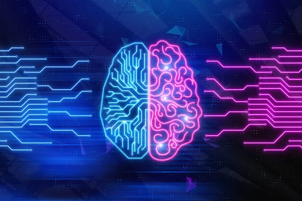 Cerebro digital fotos de stock, imágenes de Cerebro digital sin ...