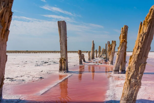 Lago de sal rosa Producción de Sivash y sal y lodo terapéutico. 2024