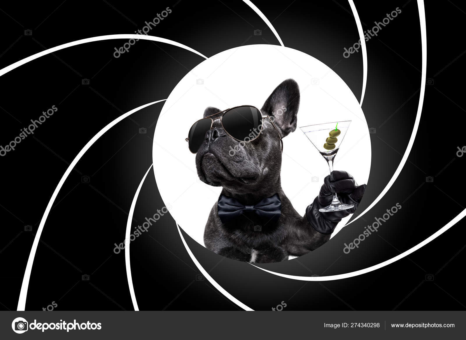 Drunk dog drinking a cocktail Stock Photo by ©damedeeso 274340298