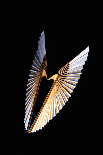 Folded Bird Wings