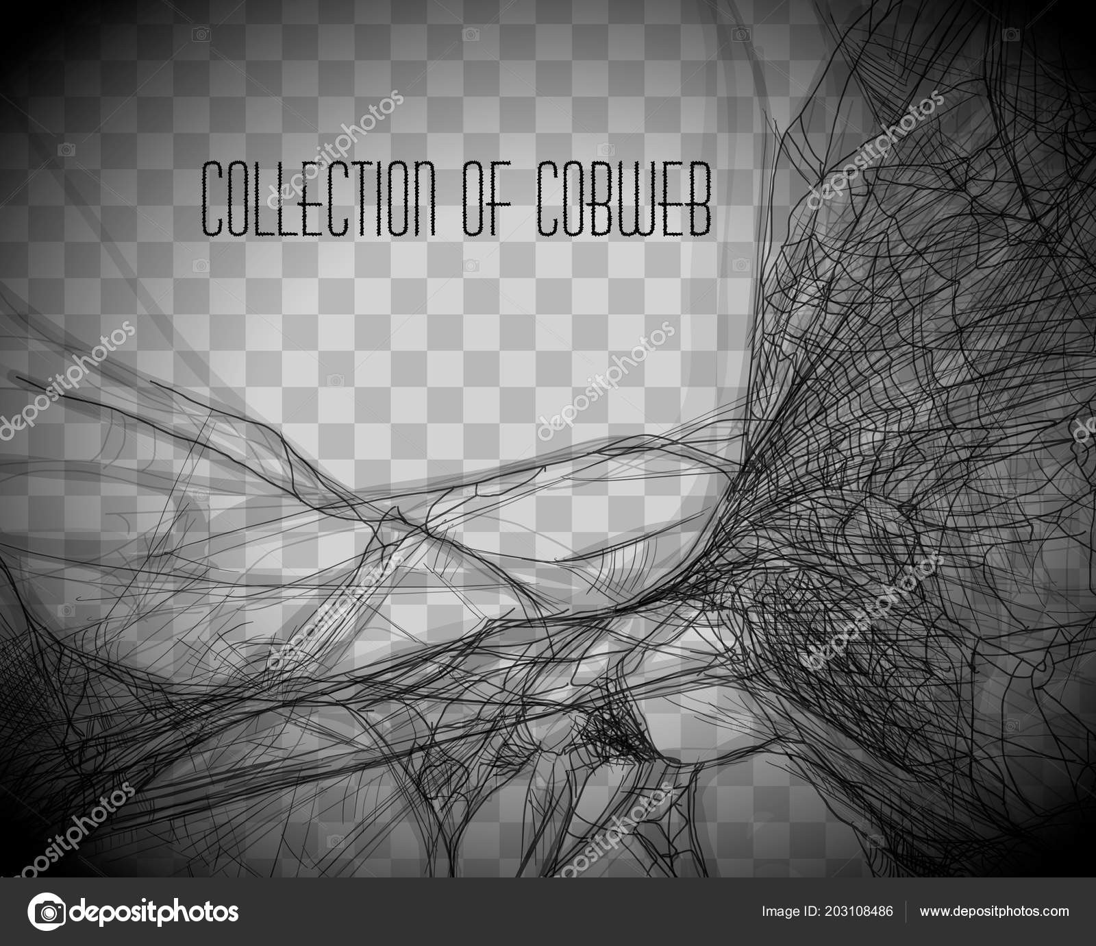 Spider Web Transparent