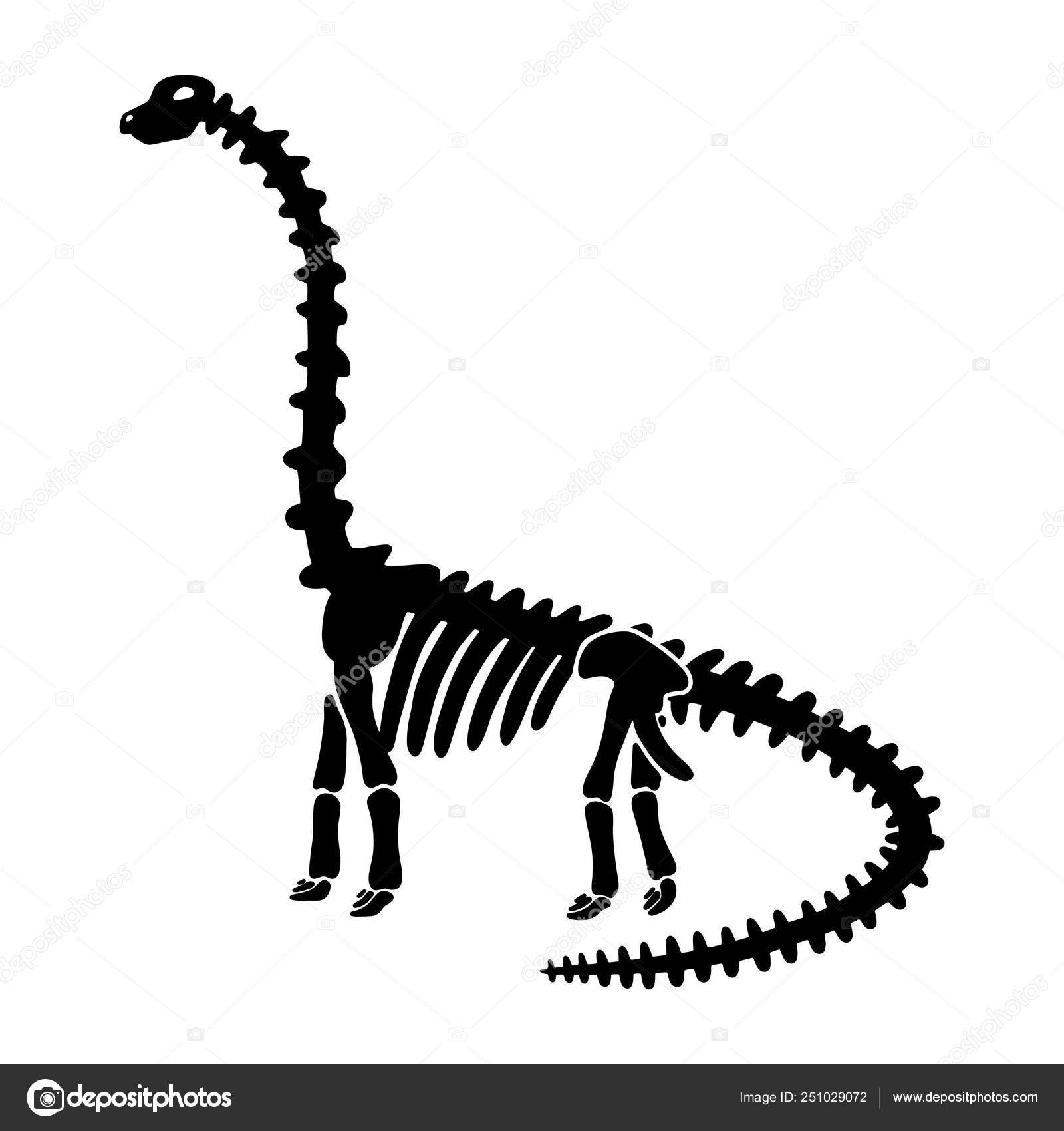 Vector dinosaur skeleton diplodocus. Stock Vector by ©brand-i-anna ...