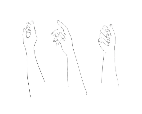 Vector women hands Stock Vector Image by ©SonneOn #13283091