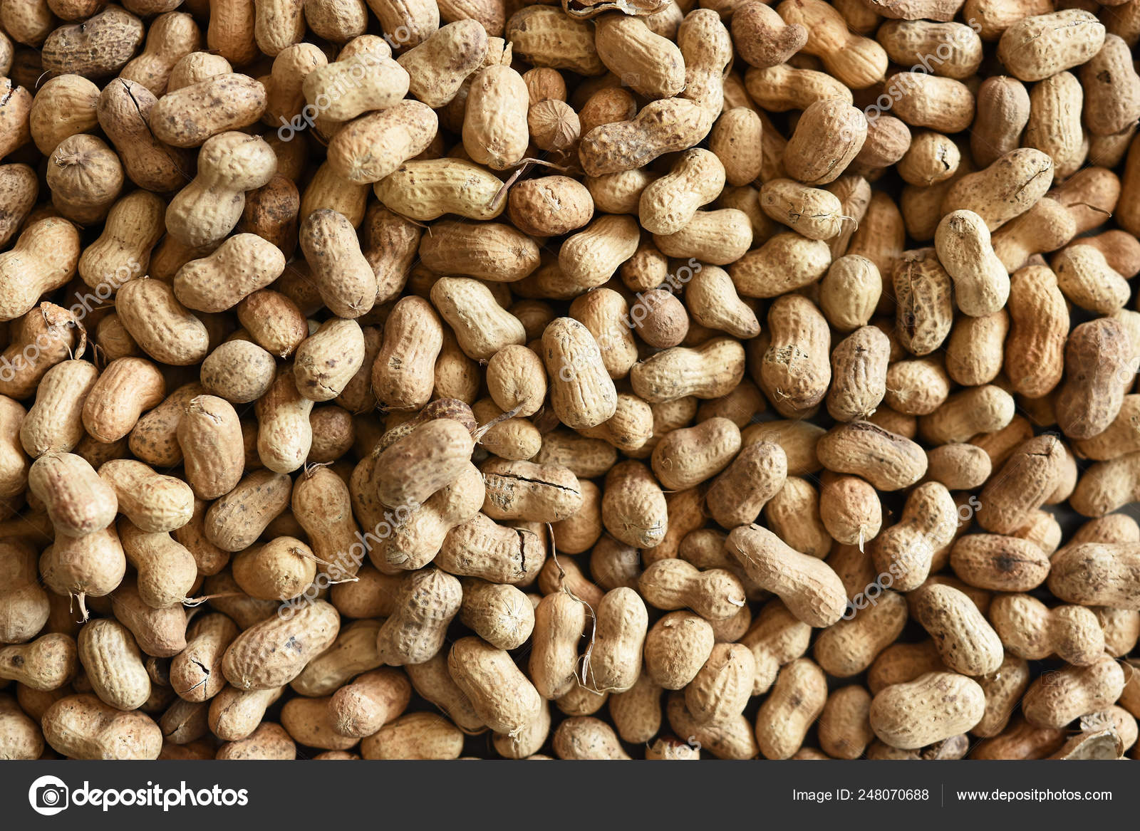 Close Image Roasted Peanuts Shell — Stock Photo © shutterbug68 #248070688