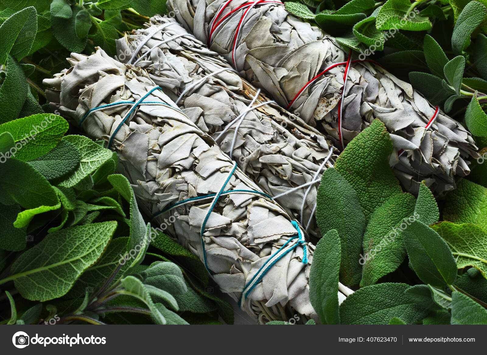 Dried Sage Bundles