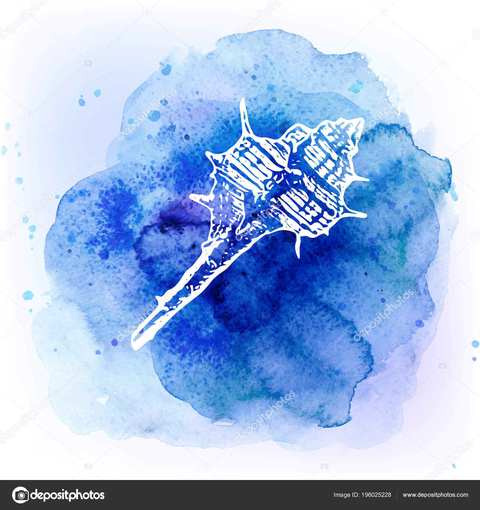 Seashells on watercolor blue background. Sea background. Stock ...