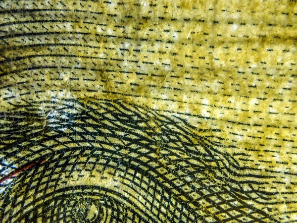 Human ear color engraving Stock Photos, Royalty Free Human ear color ...