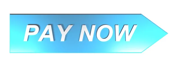 Pay Now Button