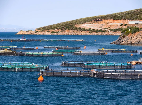 Extensive aquaculture Stock Photos, Royalty Free Extensive aquaculture ...