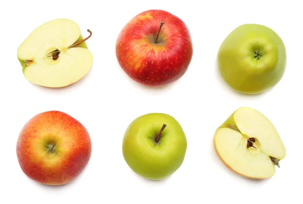 Apple growth stages Stock Photos, Royalty Free Apple growth stages ...