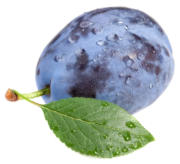 Prune bleu Stock Photos, Royalty Free Prune bleu Images | Depositphotos