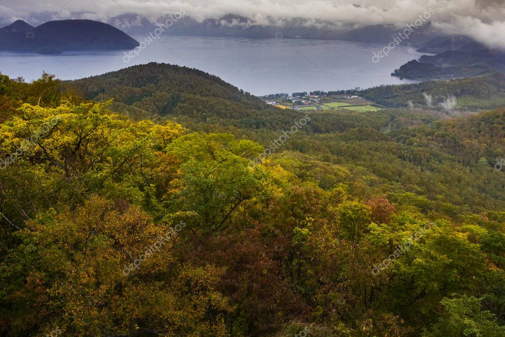 vista de coloridas hojas de árboles en temporada de cambio de color de ...