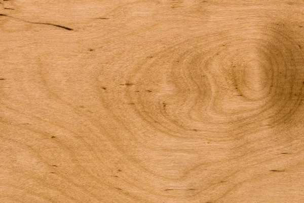 Birch wood Images - Search Images on Everypixel