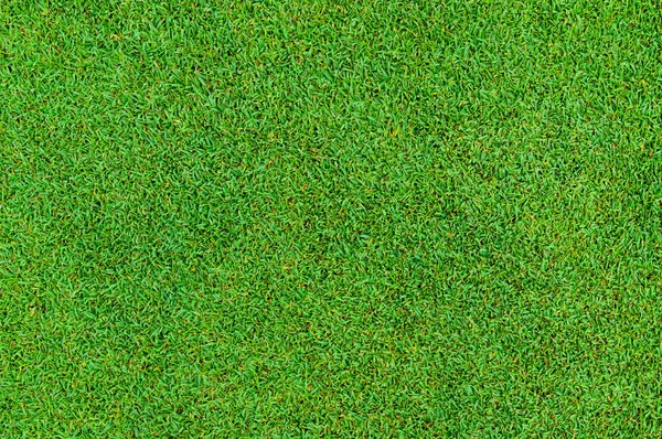 Texture de sol tapis vert fotos de stock, imágenes de Texture de sol ...