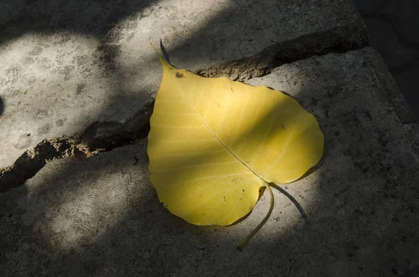 Broken promise Stock Photos, Royalty Free Broken promise Images ...