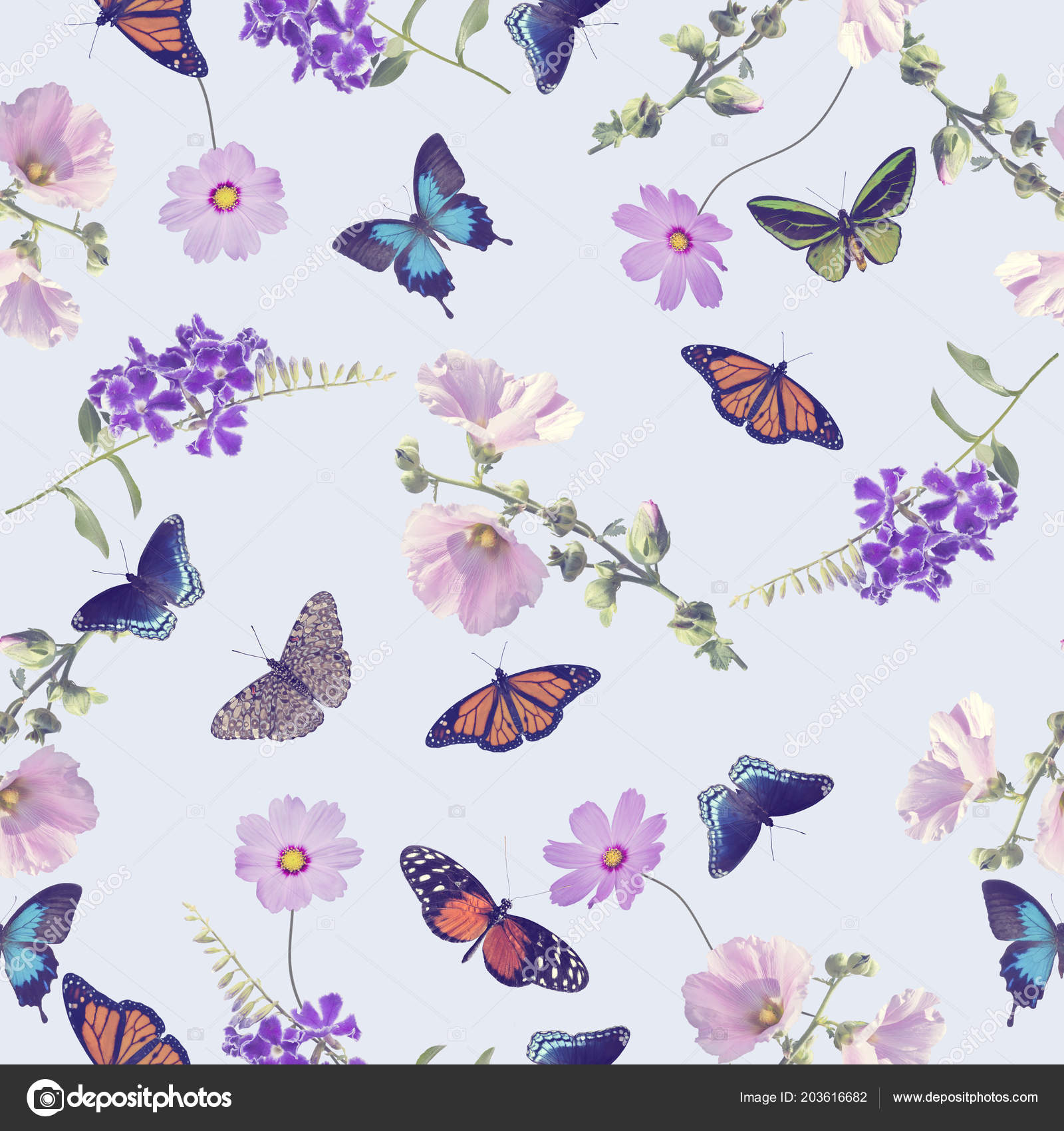Butterfly And Flower Patterns