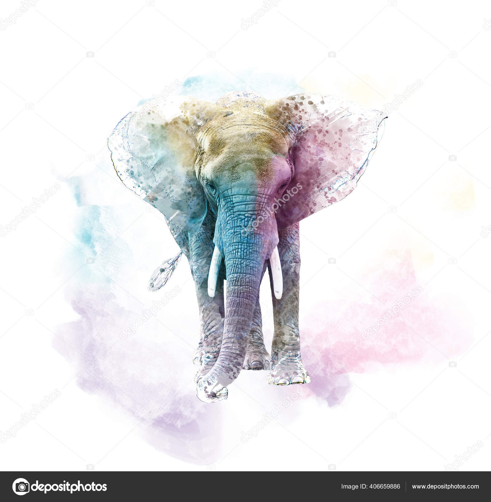 Watercolor Elephant Head