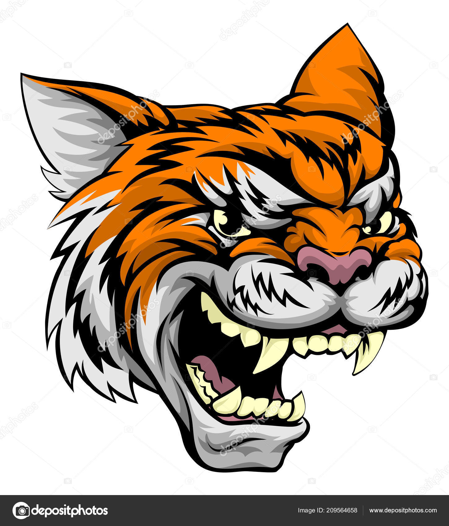 Mean Tiger Cartoon