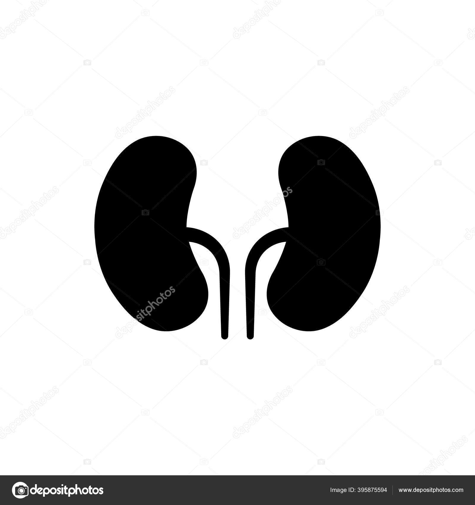 Kidneys Icon People Kidneys Black Shape Vector Illustration Isolated ...