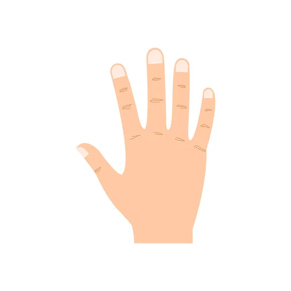 Hand Clipart