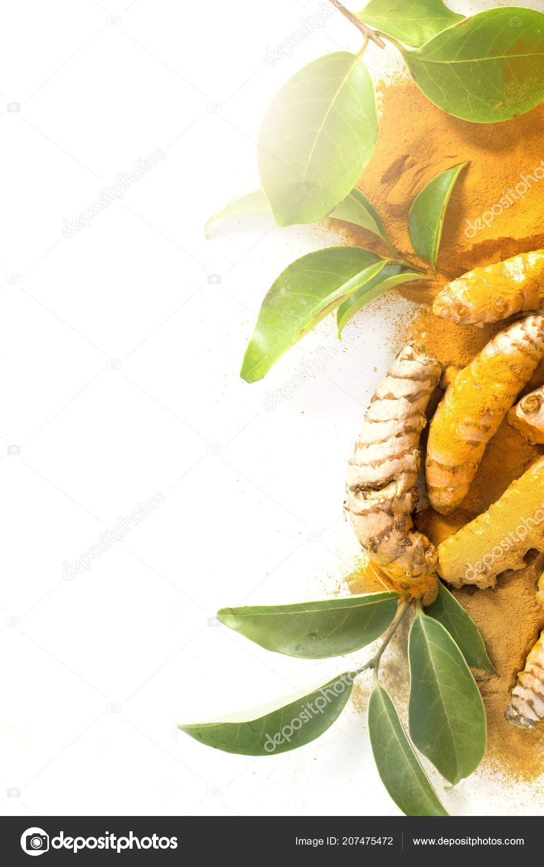 Fresh Curcuma Roots Powder Isolated White Background — Stock Photo ...