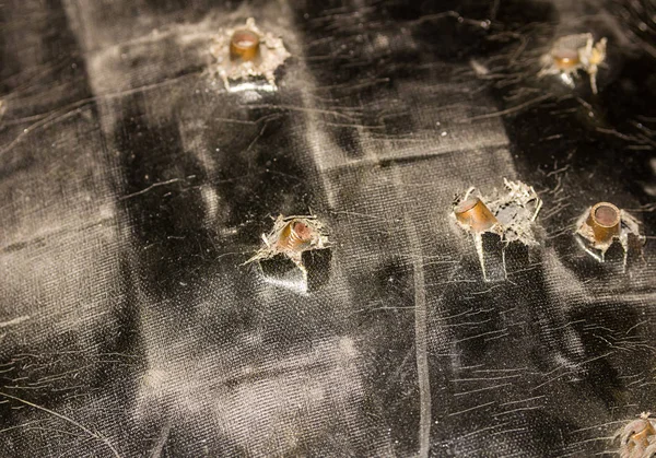 Predator mites images libres de droit, photos de Predator mites ...